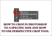 How To Crop In Photoshop To a Specific Size & Use Perspective Crop Tool